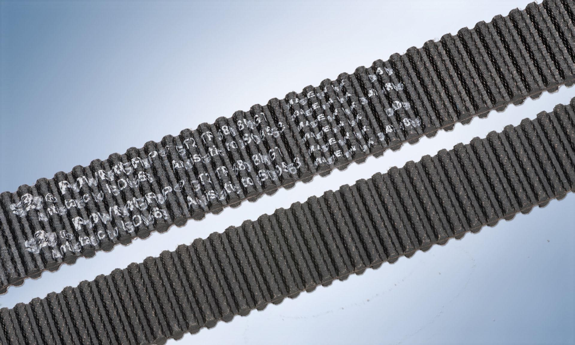 Synchronous belts CLASSIC (HTD) 8M/30 | CL 8M 30 | SW10023.8